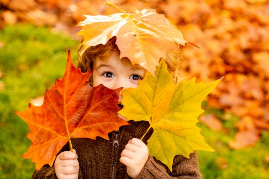 Quelles activités à faire avec l’enfant ou bébé en automne