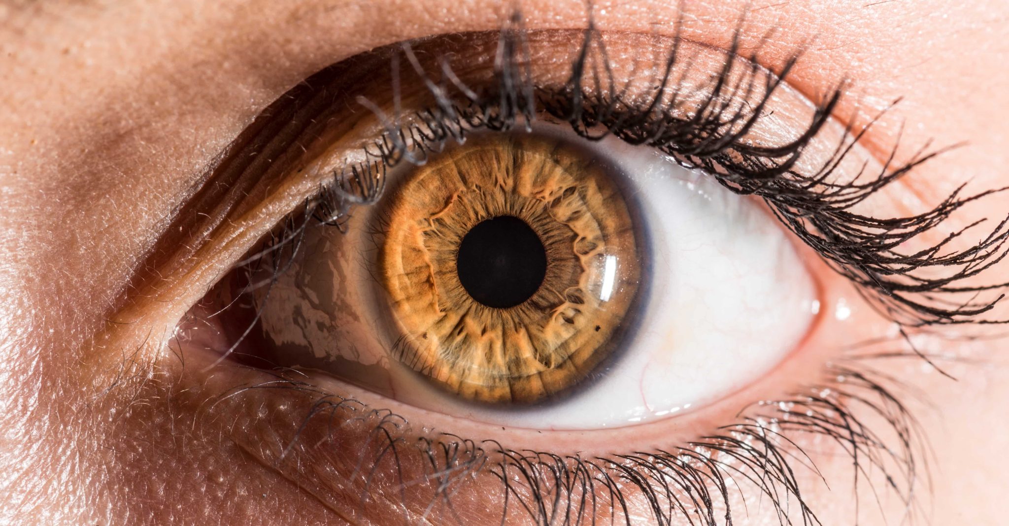 Yeux hazel : quel maquillage ? - Espace concours